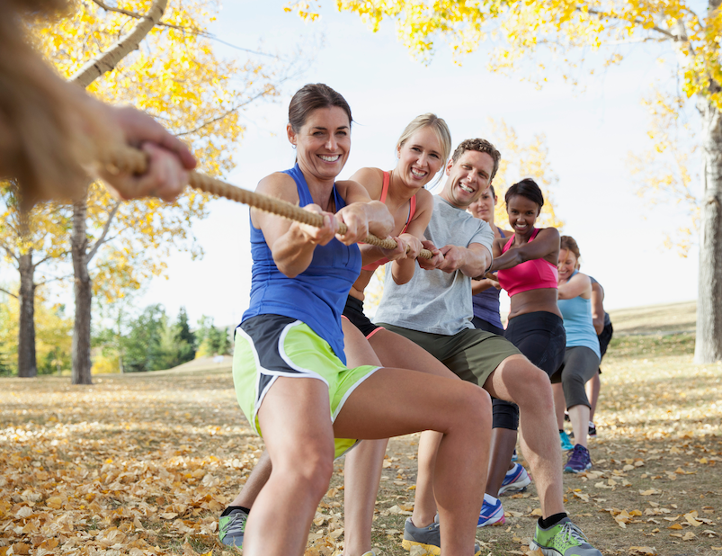 Home Page - Hatton Country World