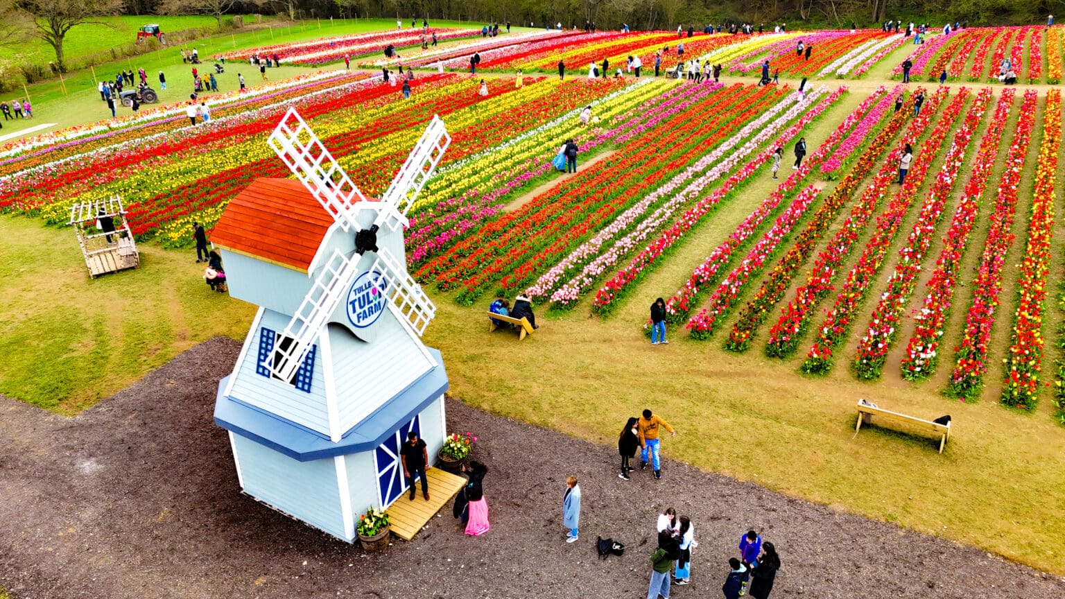 Tulleys Tulip Garden - Hatton Country World