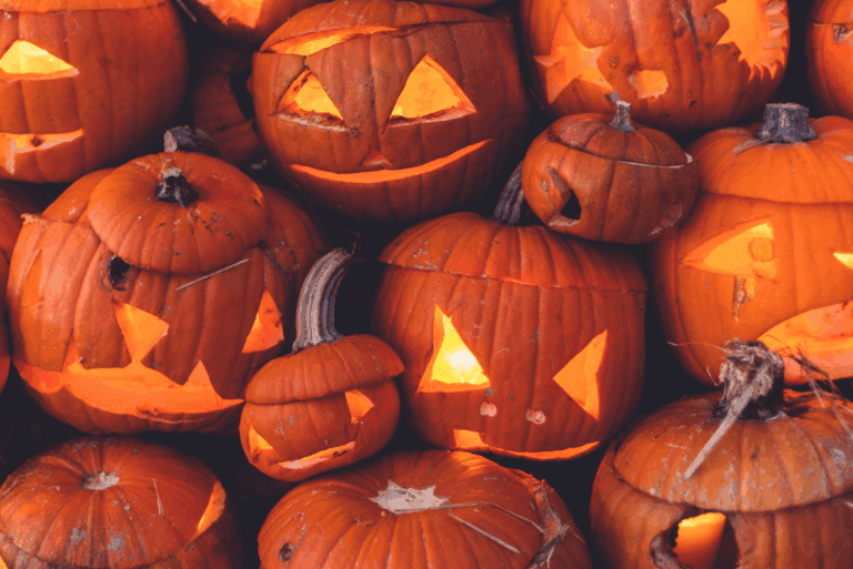 Returning 2026 - Hatton After Hours: Adults-Only Night at the Farm ...